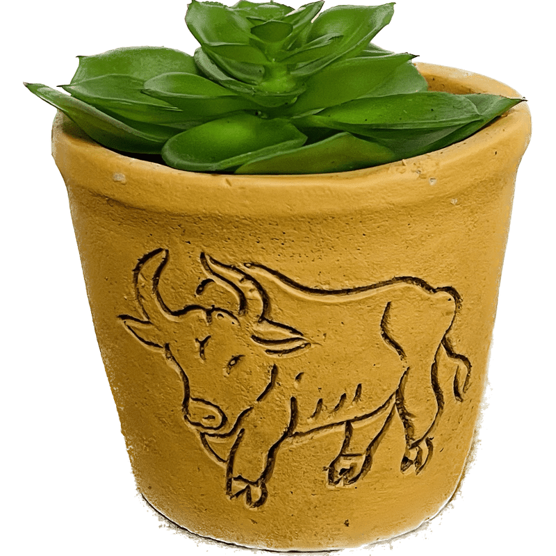 Terra Cotta Animal Succulent Decor – Phelan Hydro & Garden Supply